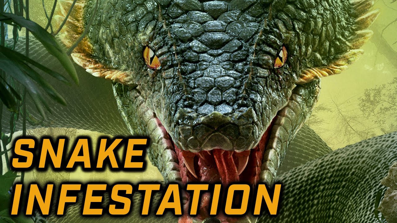 Snake Infestation (2025) [Horror] [Creature] Swarms of Terror Unleashed ...