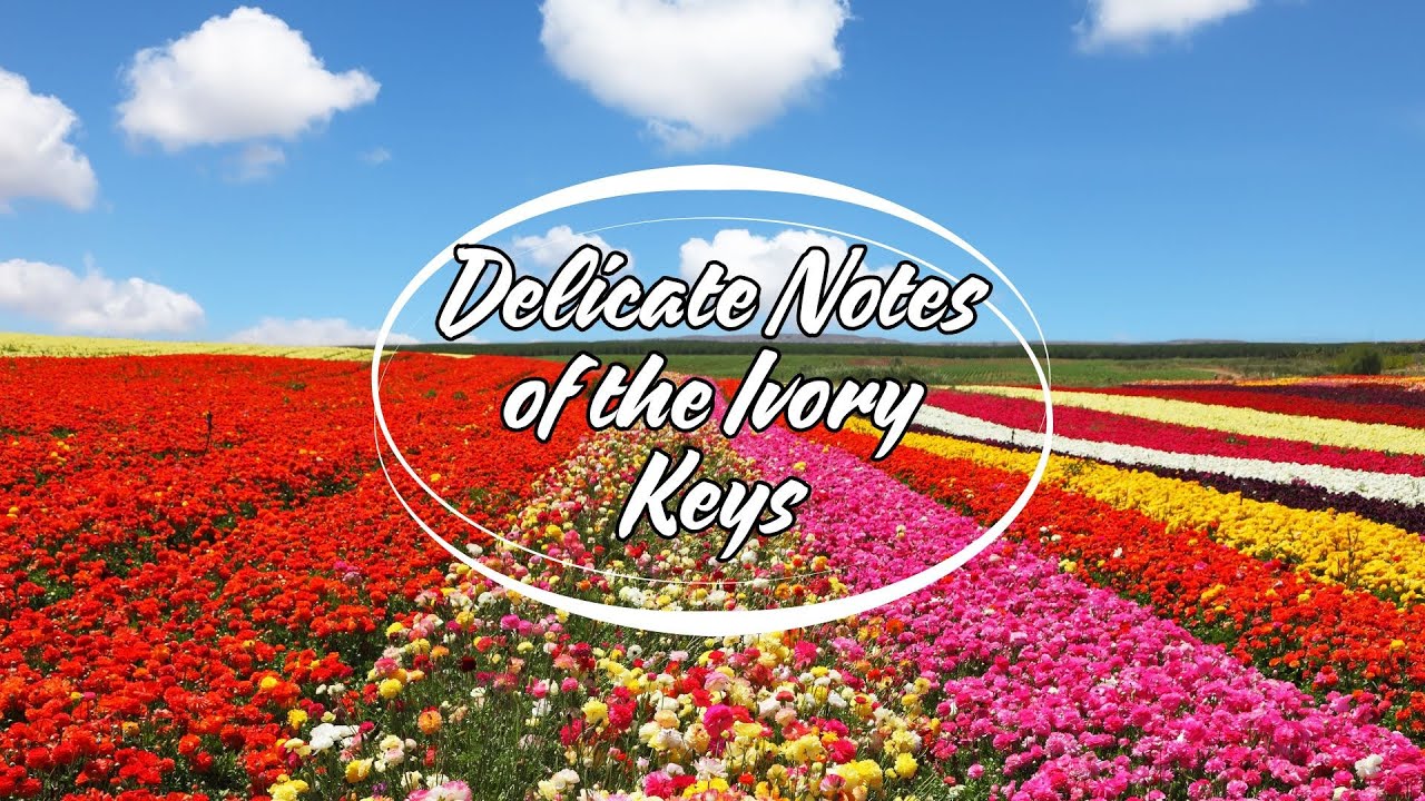 Delicate Notes of the Ivory Keys - YouTube
