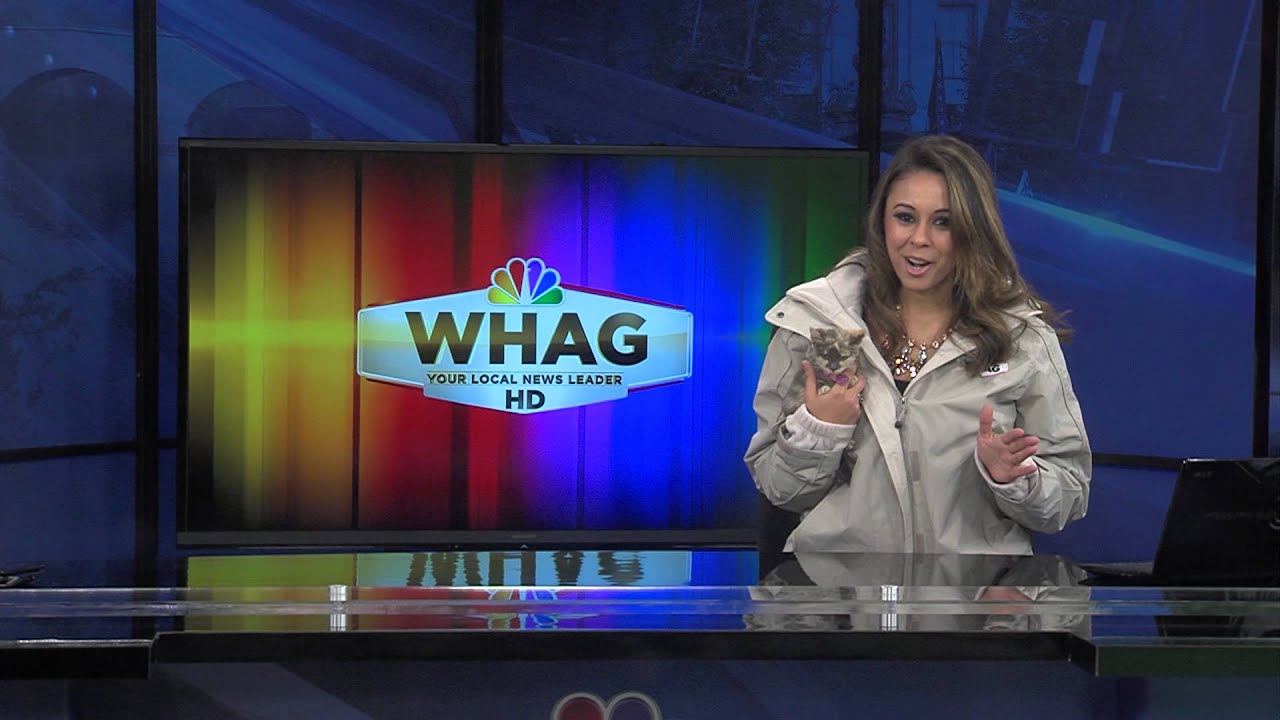 WHAG Anchor Taniya Wright Accepts the 2015 Polar Bear Plunge - YouTube