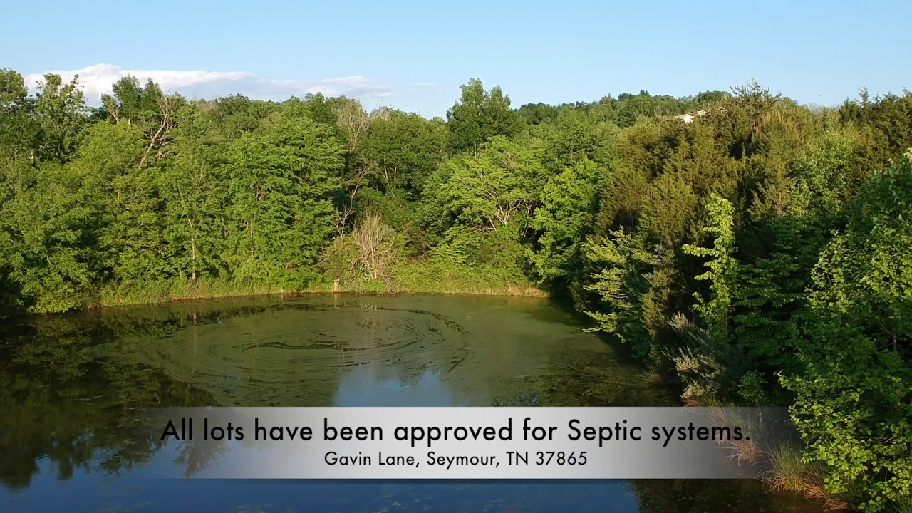 MLS - Gavin Lane - YouTube