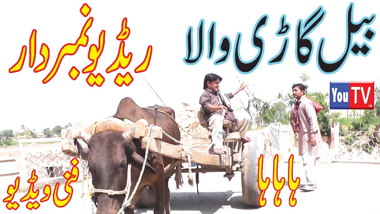 Number Daar Radio Bail Gari Wala Funny Video - By You Tv HD - YouTube