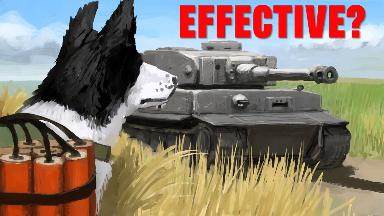 Effectiveness of Soviet Anti-Tank Dogs - YouTube