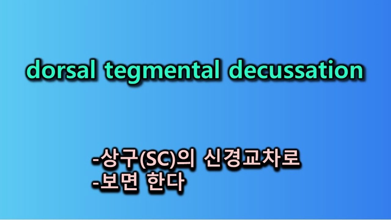 dorsal tegmental decussation-상구(SC)의 신경교차로-보면 한다 - YouTube