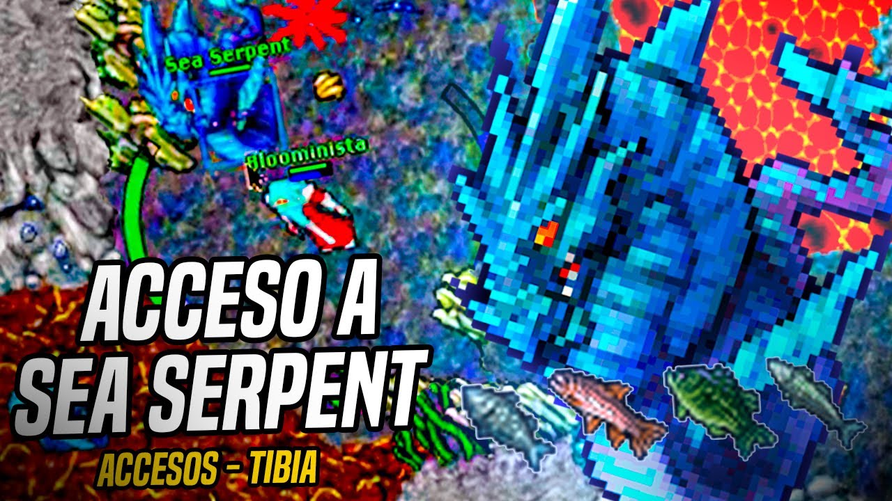 ¡SEA SERPENT, ACCESO AL MEJOR SPAWN! - Tibia | Bakkong - YouTube