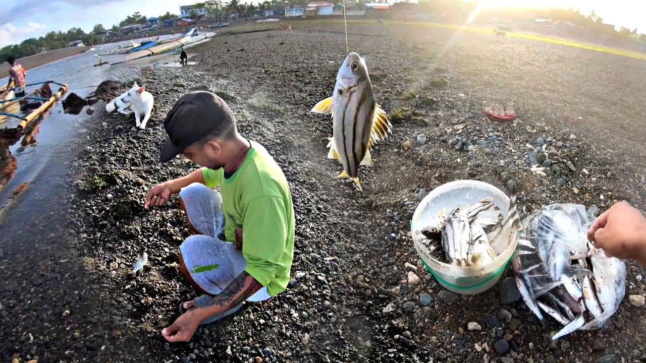 Masustansya daw ang isdang ito🤔🤔😅😅 - YouTube