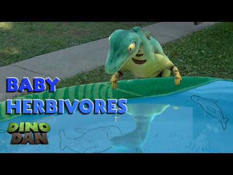 Baby Herbivores | Dino Dan | Dino Kids