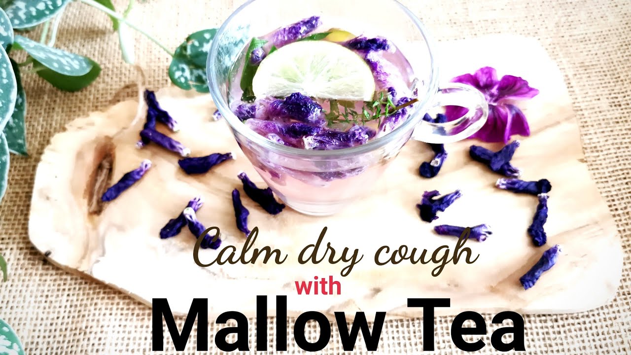 Mallow Tea | Mallow Flowers Tea | Calm Dry Cough With Mallow Tea | A ...