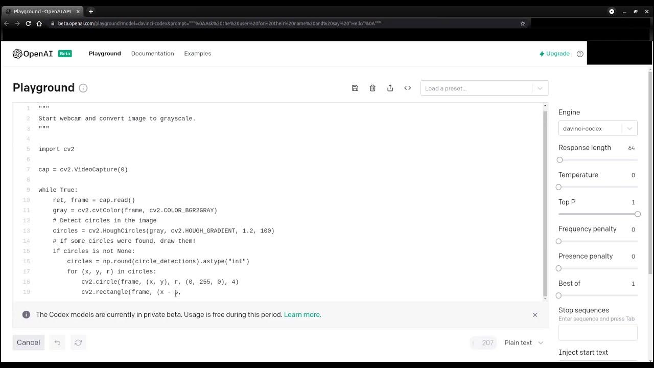Open AI Codex writing Computer Vision code in Python - YouTube