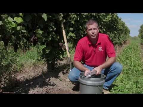 Soil Testing in the Vineyard