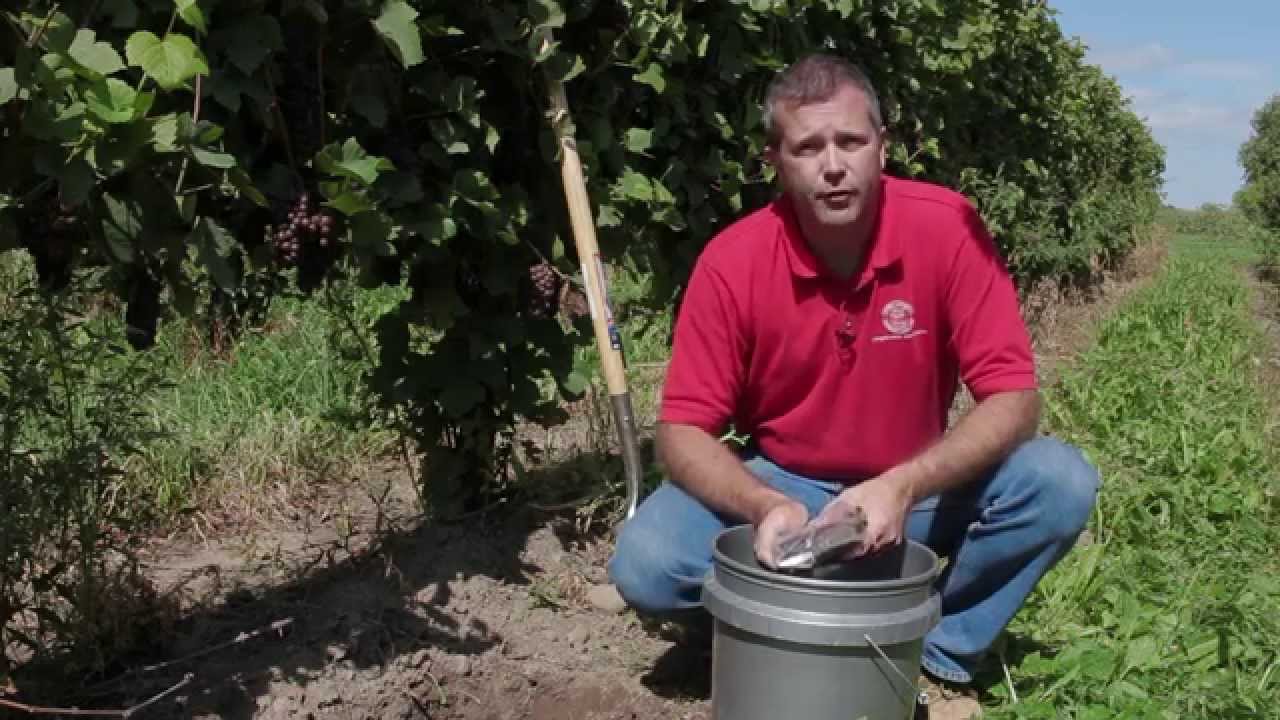 Soil Testing in the Vineyard - YouTube