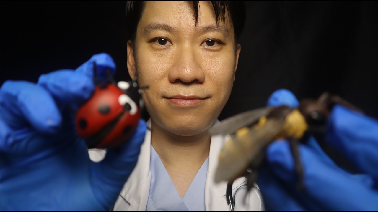 ASMR insect doctor 🐝🐞🪲🐜 - YouTube