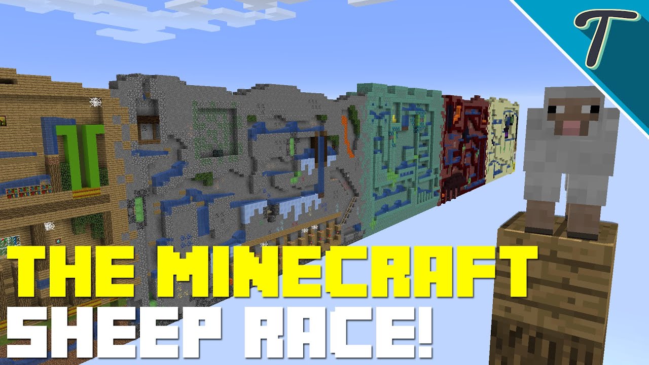 Minecraft: The Sheep Race! [Marble Race] - YouTube