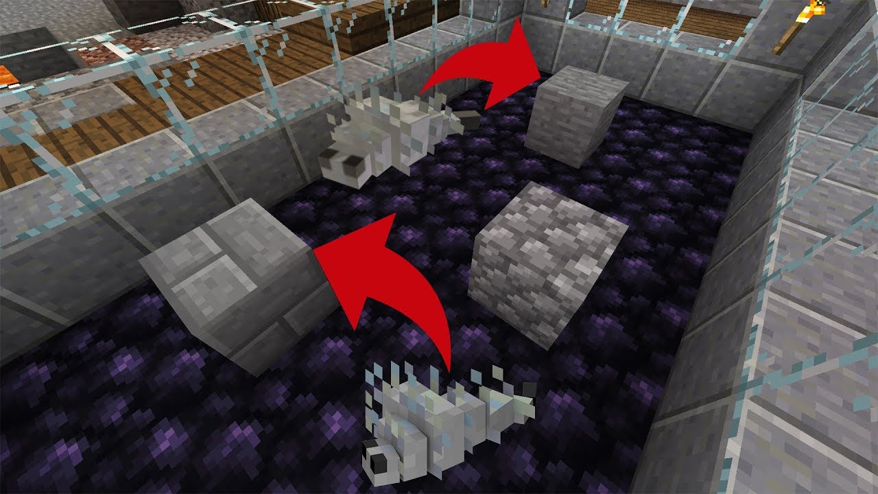 Minecraft ITA ep 1007 - Creiamo l'Infested Stone - YouTube