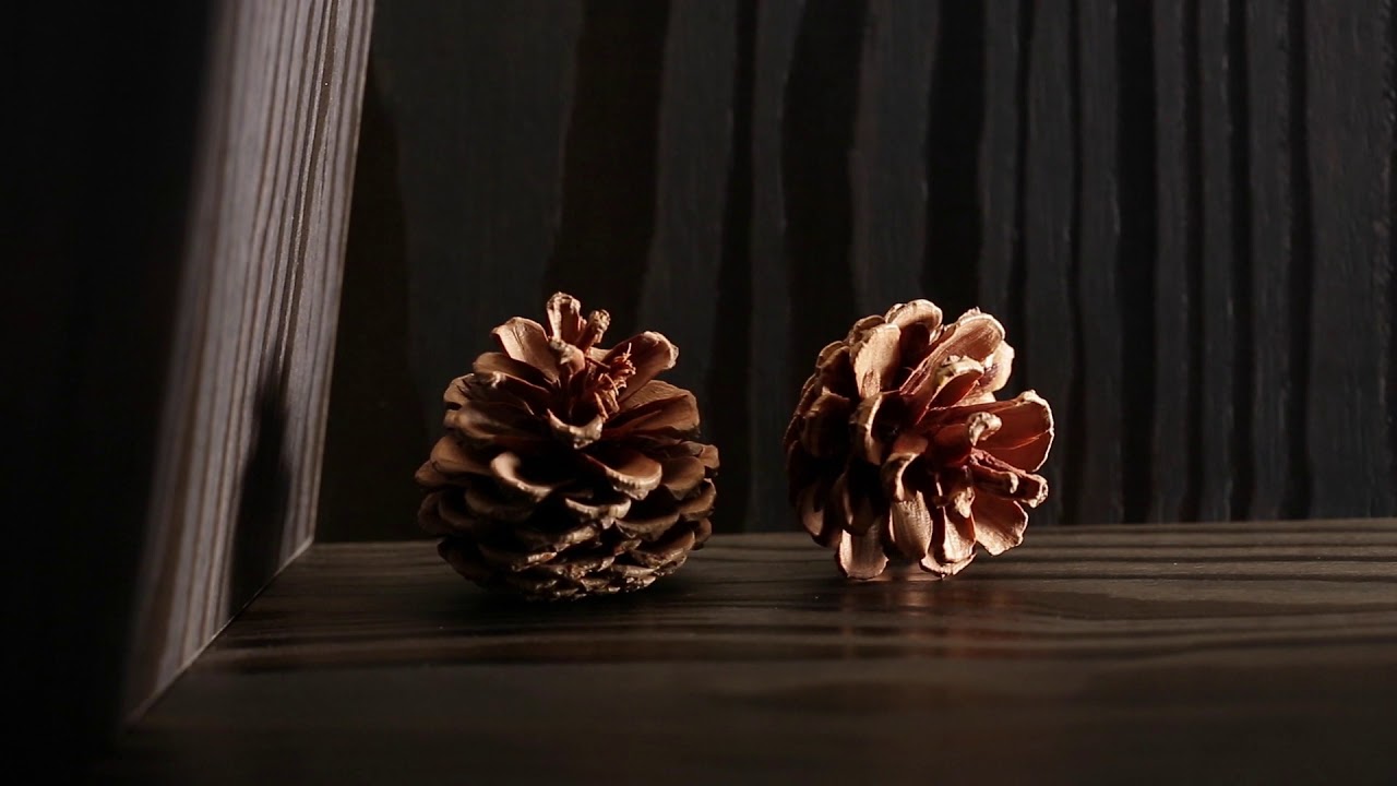 CLEAF presented by EGGER - Millennium - YouTube