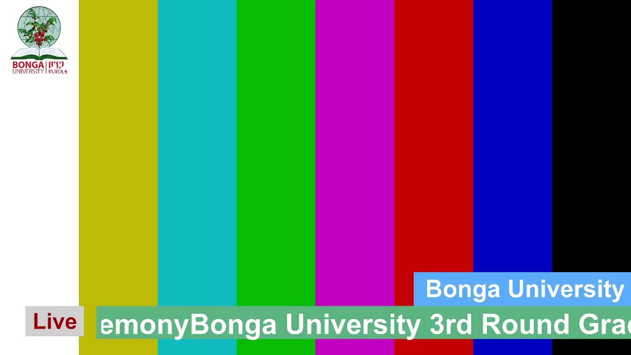 Bonga University 3rd Graduation Ceremony - YouTube