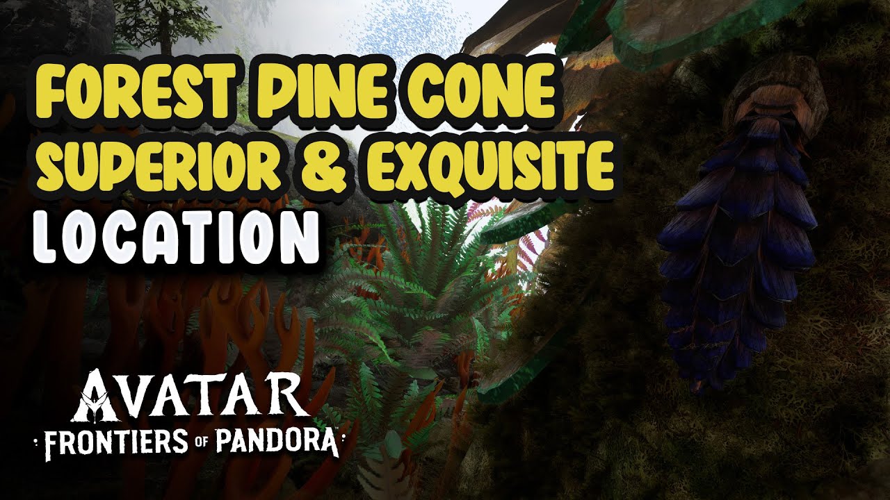 Forest Pine Cone Superior & Exquisite Location | Avatar Frontiers Of Pandora - YouTube