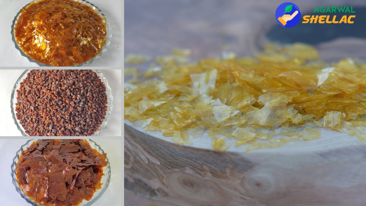 AGARWAL SHELLAC - LEADING MANUFACTURER OF SHELLAC, SEEDLAC, BUTTON LAC ...