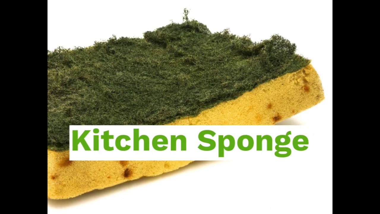 You Touch These 6 Dirty Objects Every Day! - YouTube