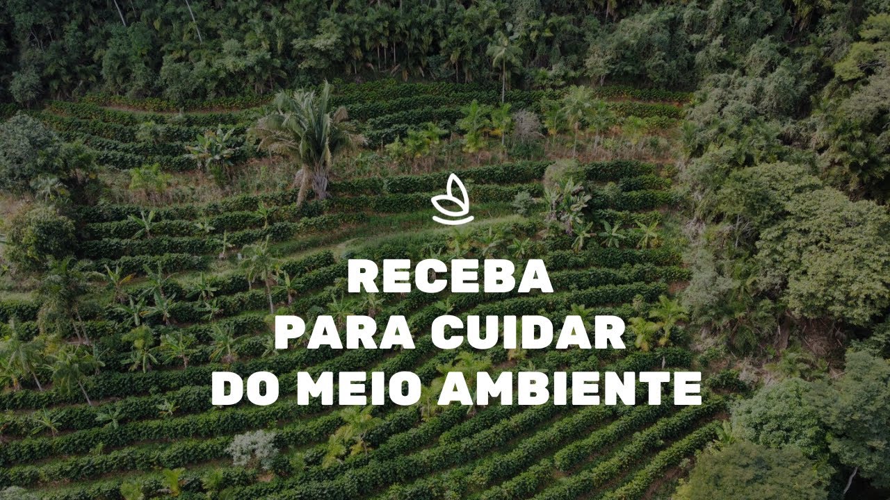 Programa Reflorestar no Espírito Santo | Receba para cuidar do meio ambiente | MV TV - YouTube