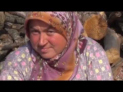 SULTAN BACI KEÇİ GÜDERKEN
