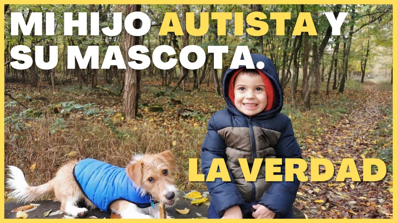 Descubre la Terapia asistida con Animales. Adoptamos un Perro a nuestro ...