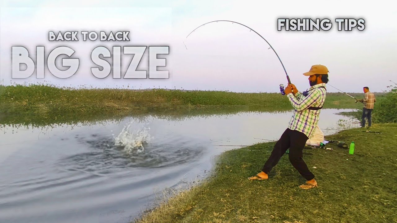 Bam Machhali | बाम मच्छी पकड़ने का तरीका | Big Bam fish | Baam fishing ...