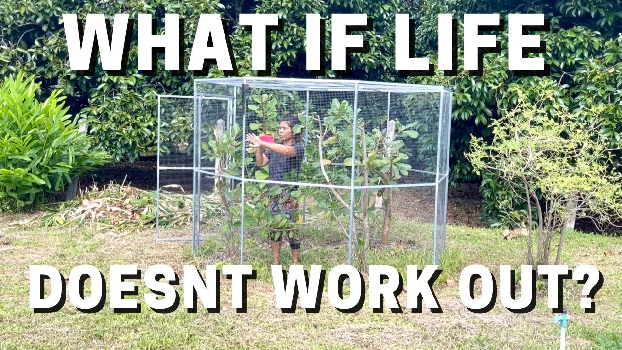 What If Things Dont Work Out? The Farm Fails? - YouTube