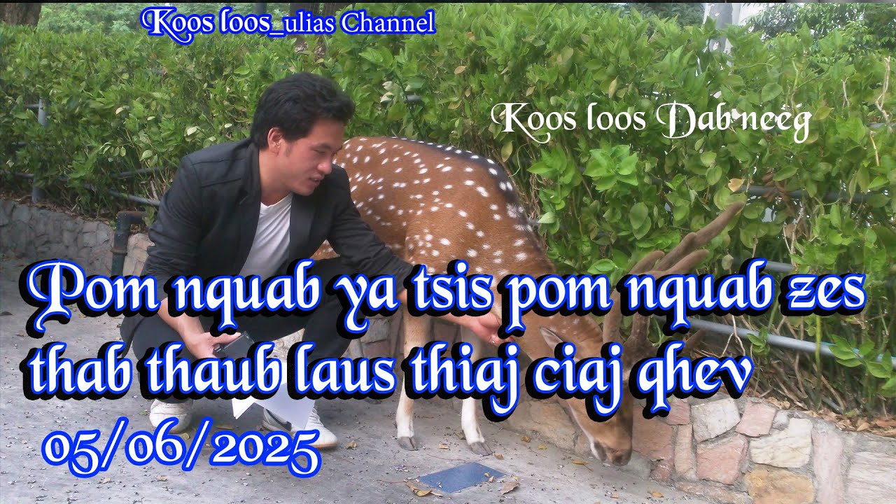 Pom nquab ya tsis pom nquab zes thab thaub laus thaum kawg thiaj ciaj dev 05/06/2025 - YouTube