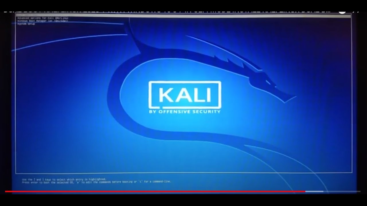 DUAL BOOT KALI LINUX 2020 1 WITH WINDOWS 10 8 7 IN UEFI MODE INSTALL ...