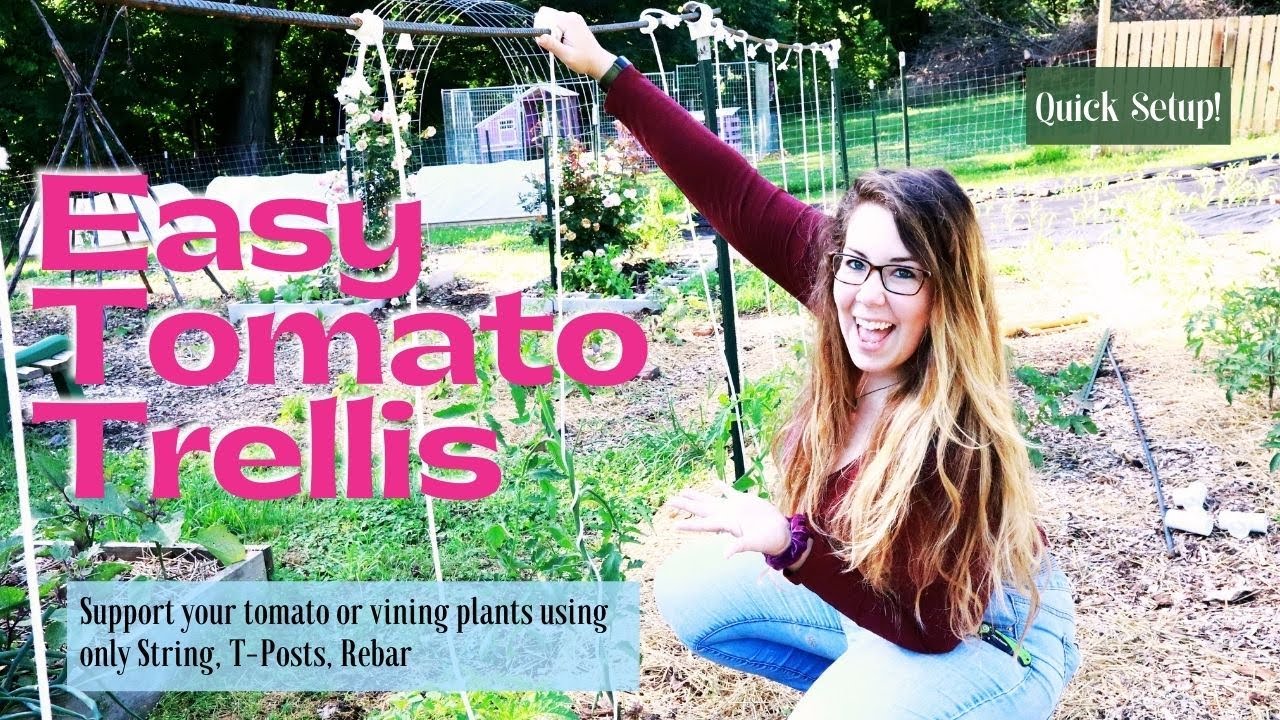 EASY TOMATO TRELLIS | Support your plants with String, T-Posts, Rebar ...
