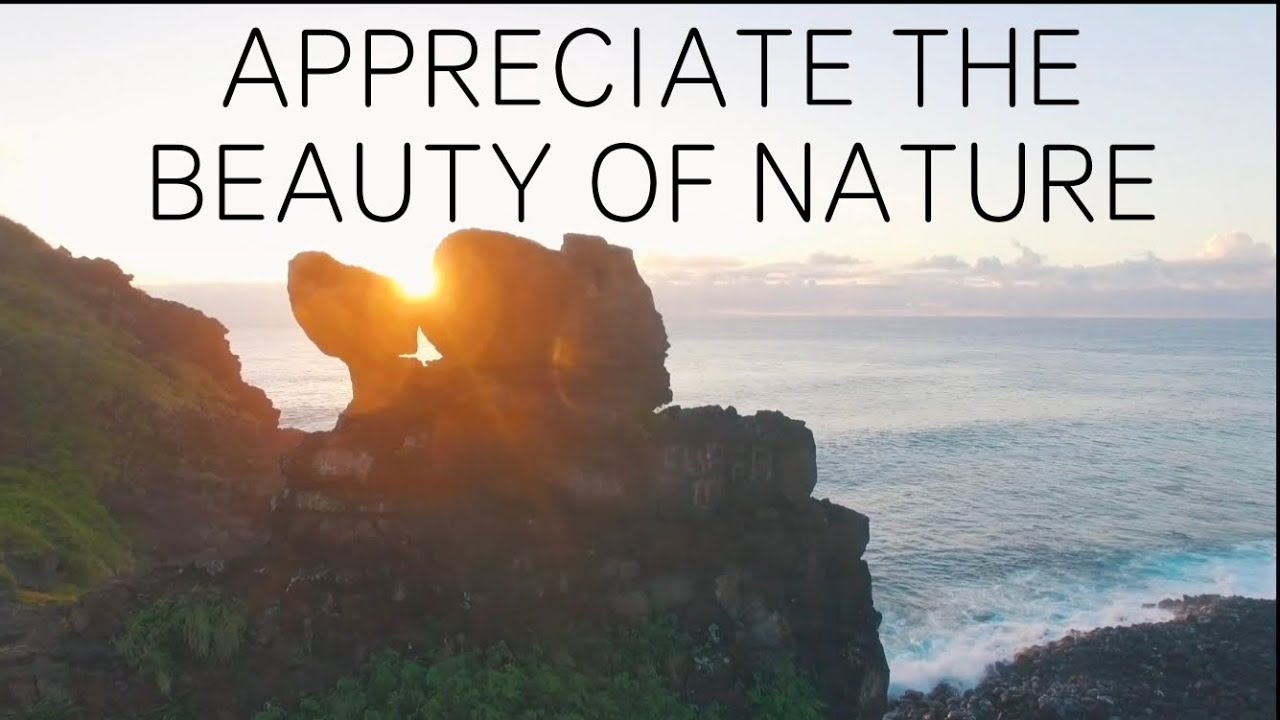 APPRECIATE THE BEAUTY OF NATURE 🙏 - YouTube