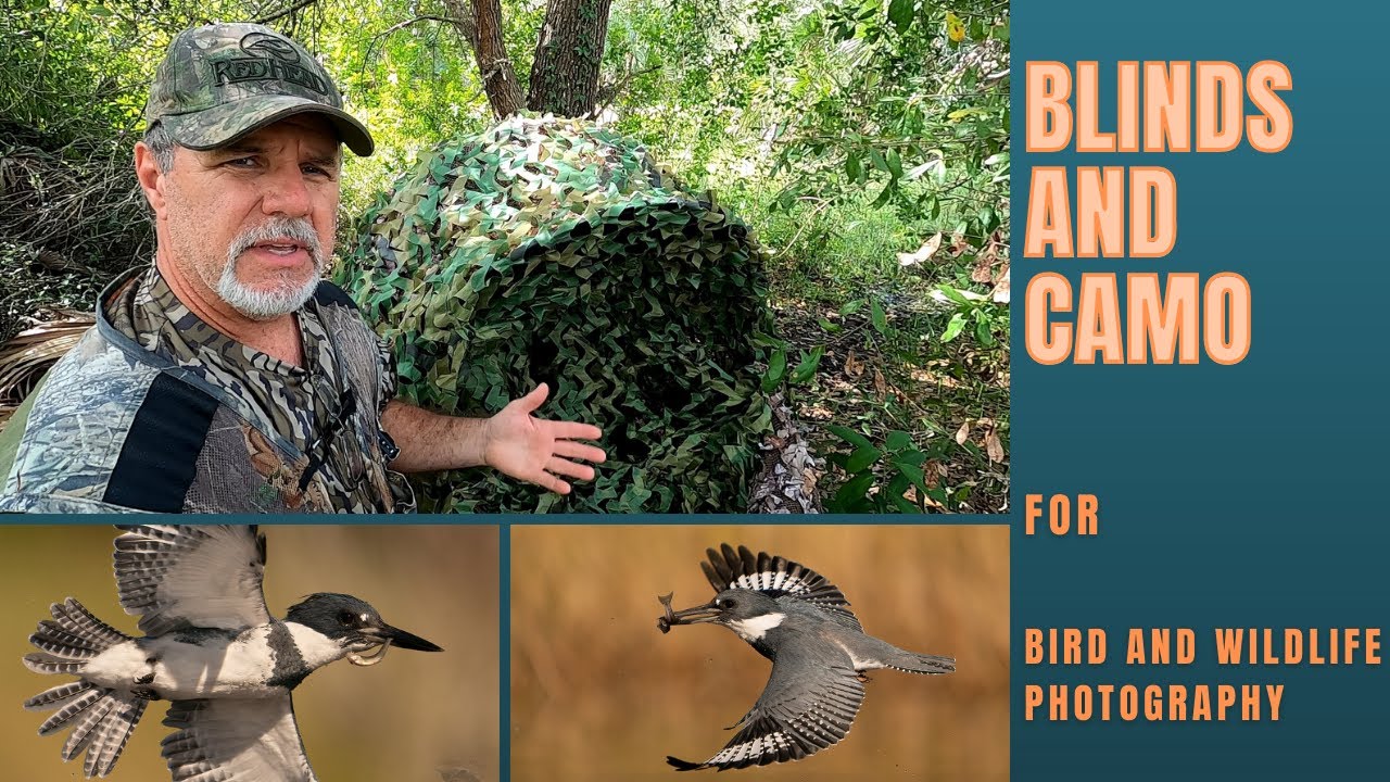 Blinds and Camouflage for Bird and Wildlife Photography - YouTube
