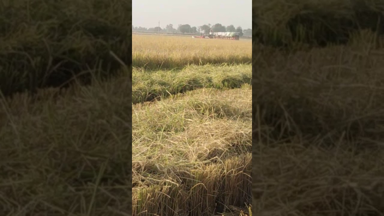 love Farming - YouTube