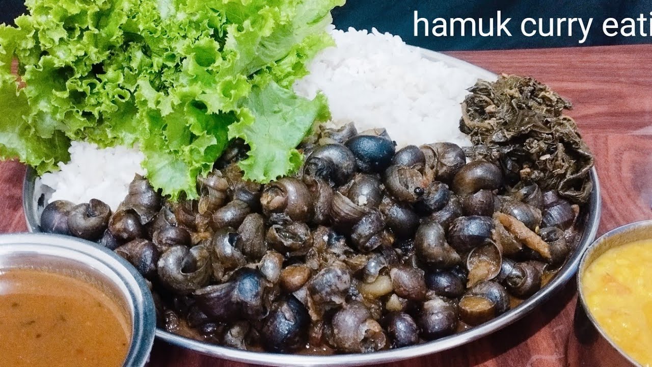 Snail Curry Eating Spicy🔥|| Healthy & delicious Hamuk Curry Eating ...