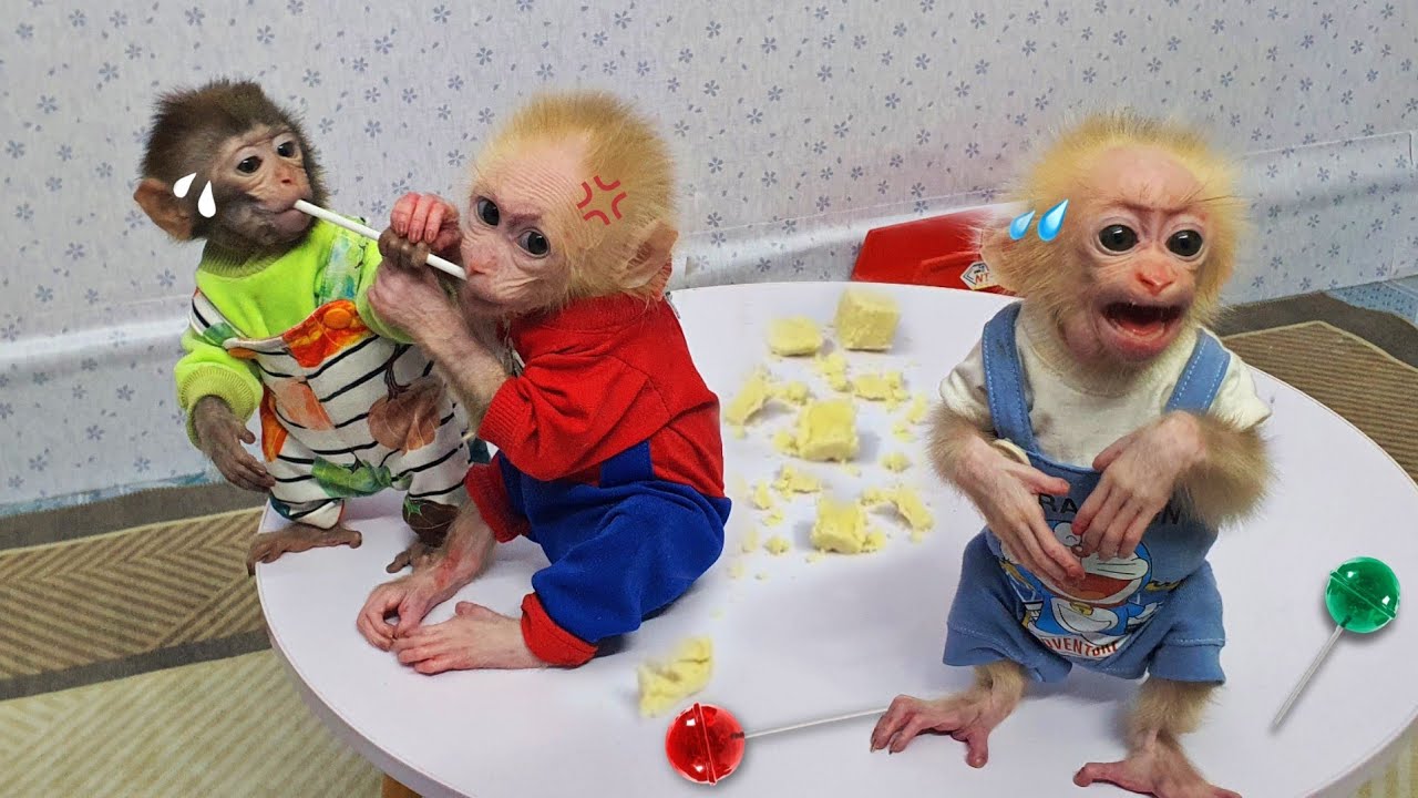 Super monkey! AKA is naughty with Pika making a mess forcing Dad to ...