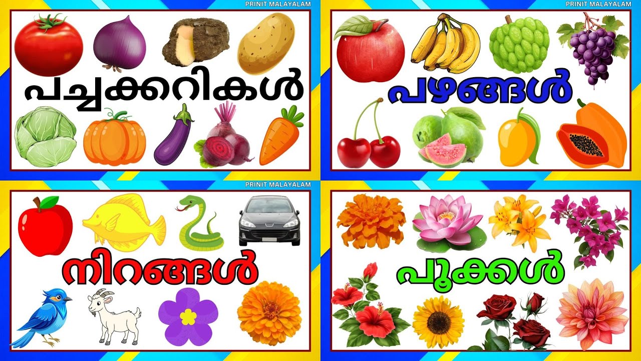Vegetables /fruits/ colours /flowers names in Malayalam/പച്ചക്കറി പഴങ്ങ ...