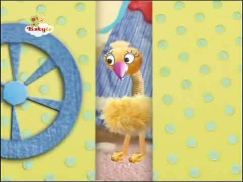 Lily & Pepper Circle