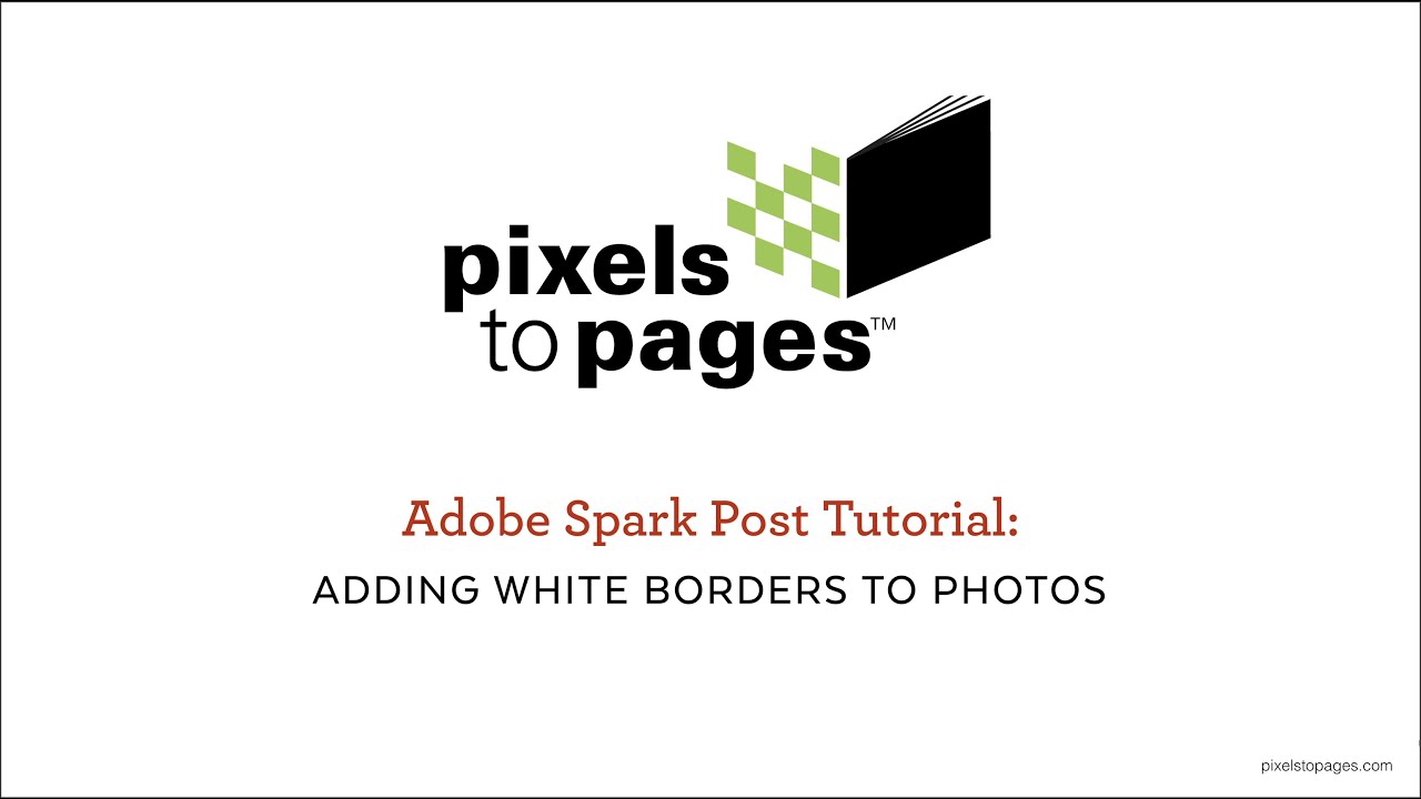Adobe Spark Post Tutorial: Adding White Borders to Photos - YouTube