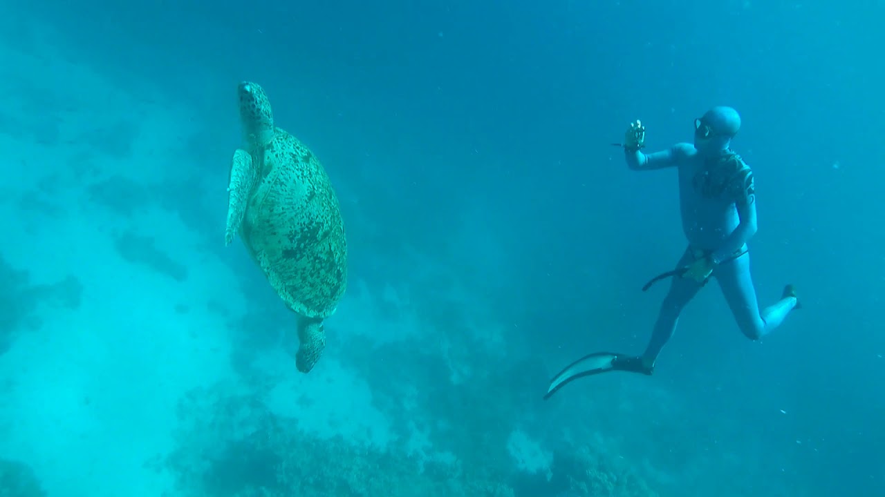 Freediving Motivation - Challenge Yourself | An Inspirational Video (HD ...