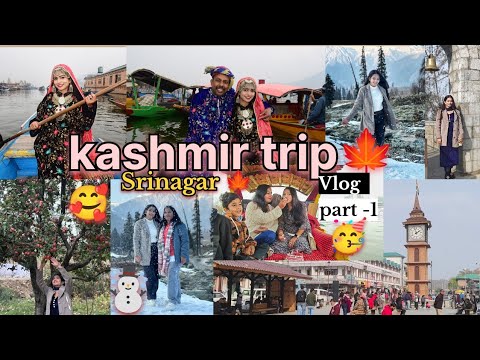 Srinagar Kashmir Trip 🍁||Vlog part-1||Tourist place||Had a lot of fun🥳with Family#viralvideo # ...