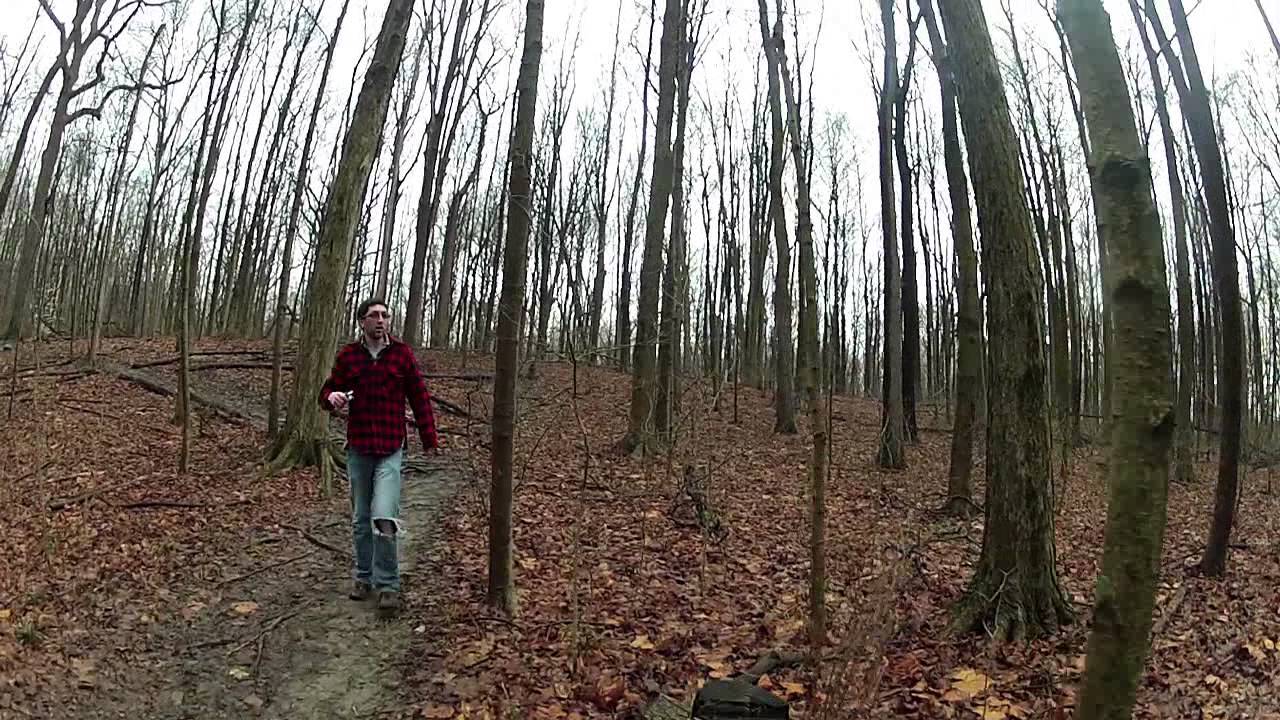 Woodland Adventures of Quayle and Action - YouTube