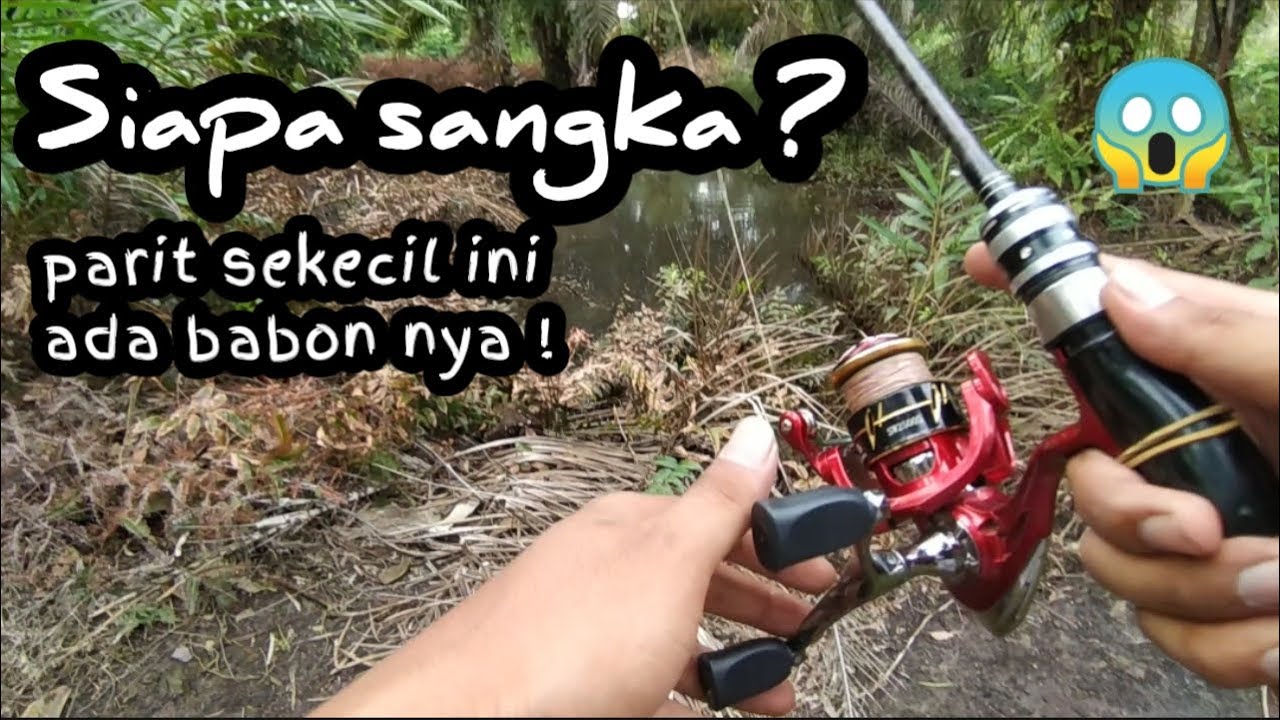 SIAPA SANGKA || ternyata babon nya sembunyi di tempat ini #fishing # ...