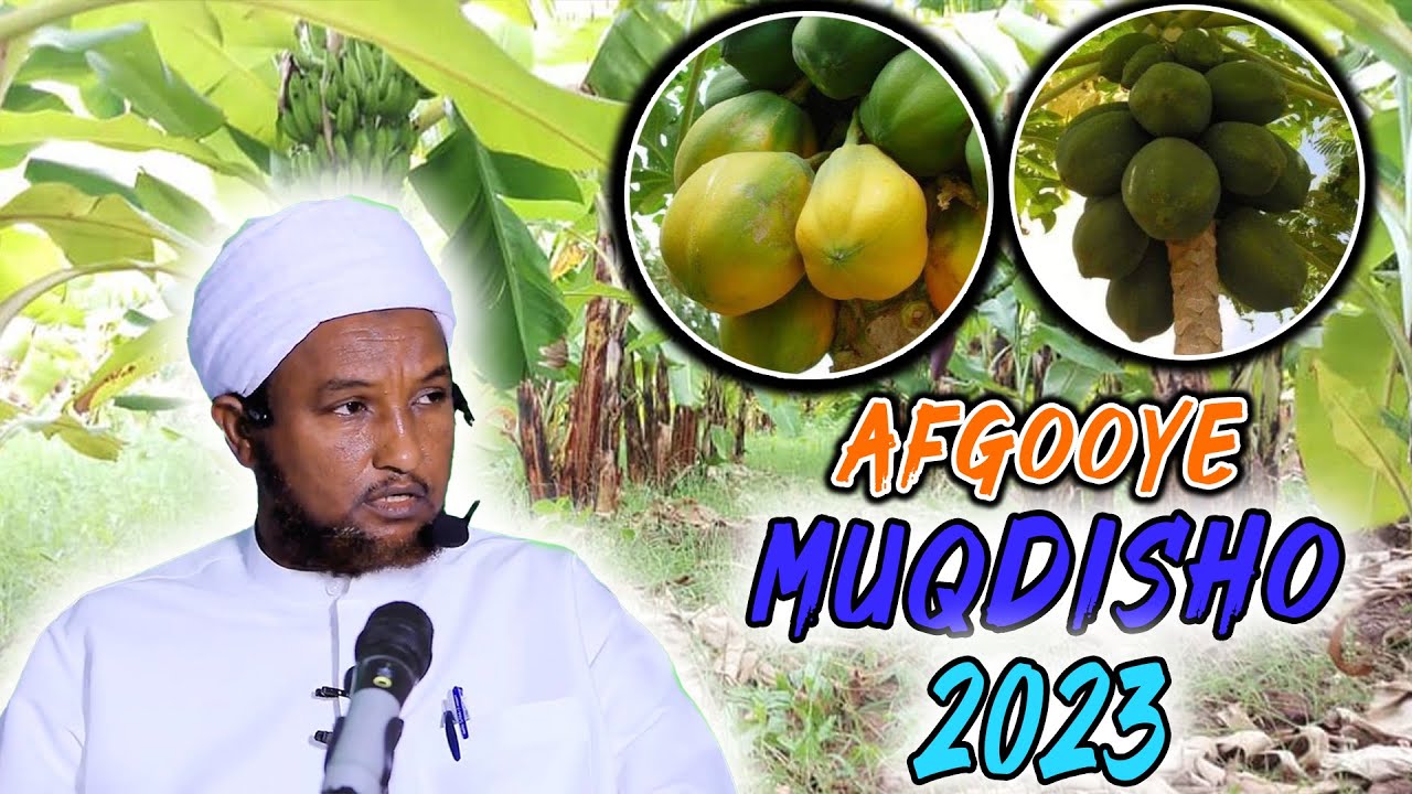Reer Muqdisho Siduu Allah Ugu Nicmeeyay Bal Eeg┇Sheekh Xuseen Cali ...