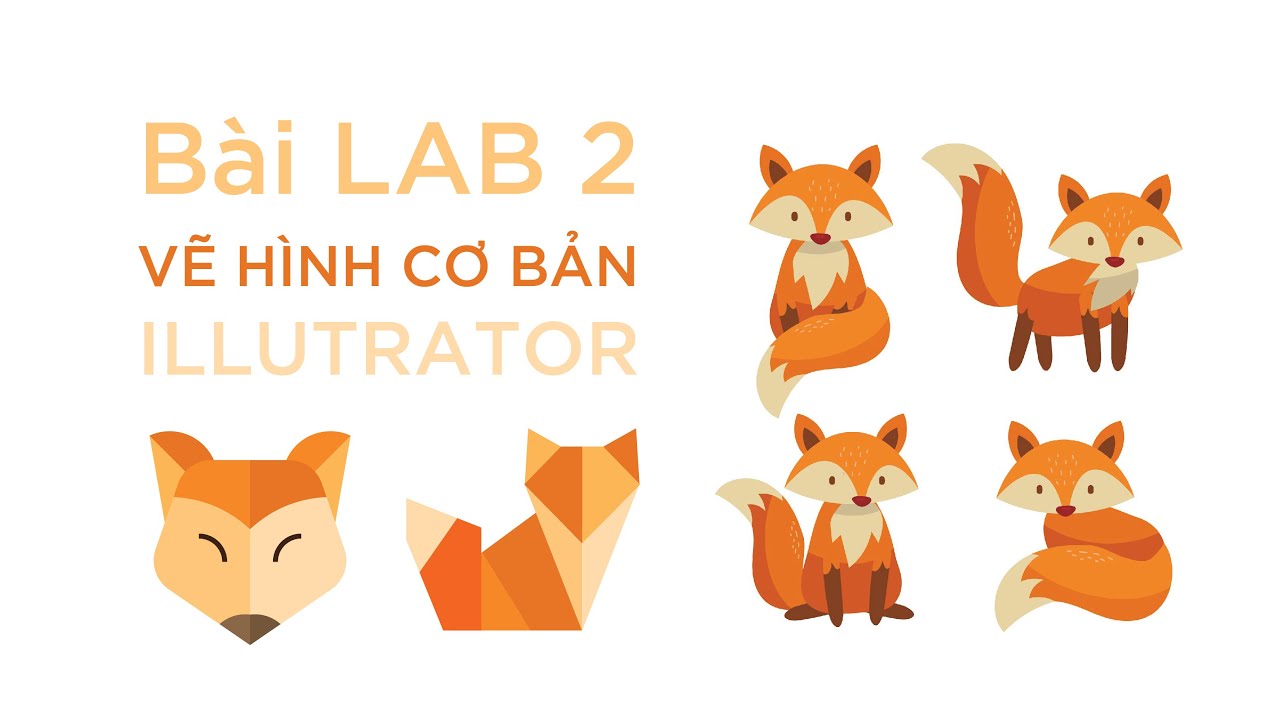 Hướng dẫn vẽ con cáo bằng hình cơ bản | Học Illustrator - YouTube