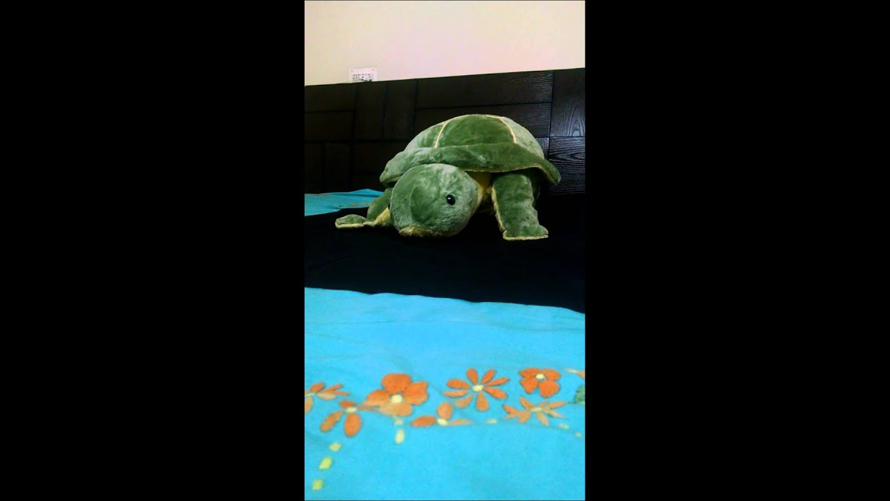 Farting Tortoise - YouTube