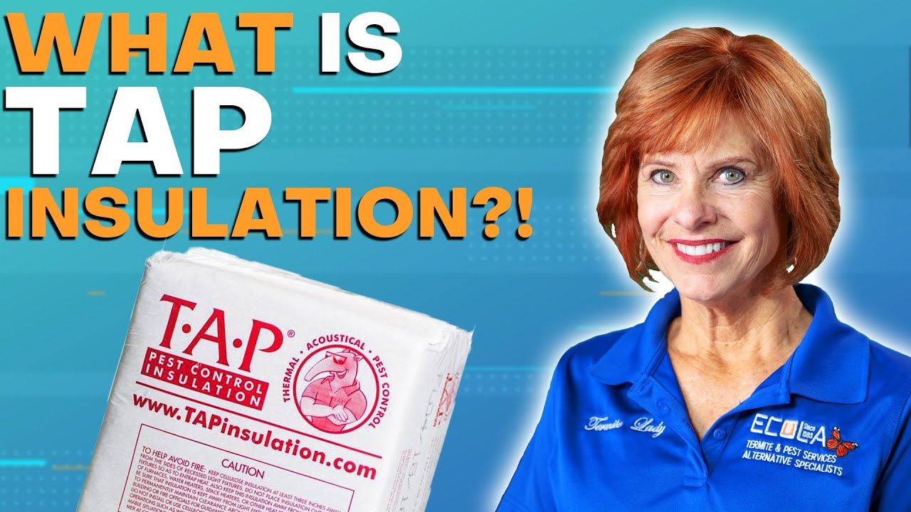 What Is TAP Insulation?! - YouTube