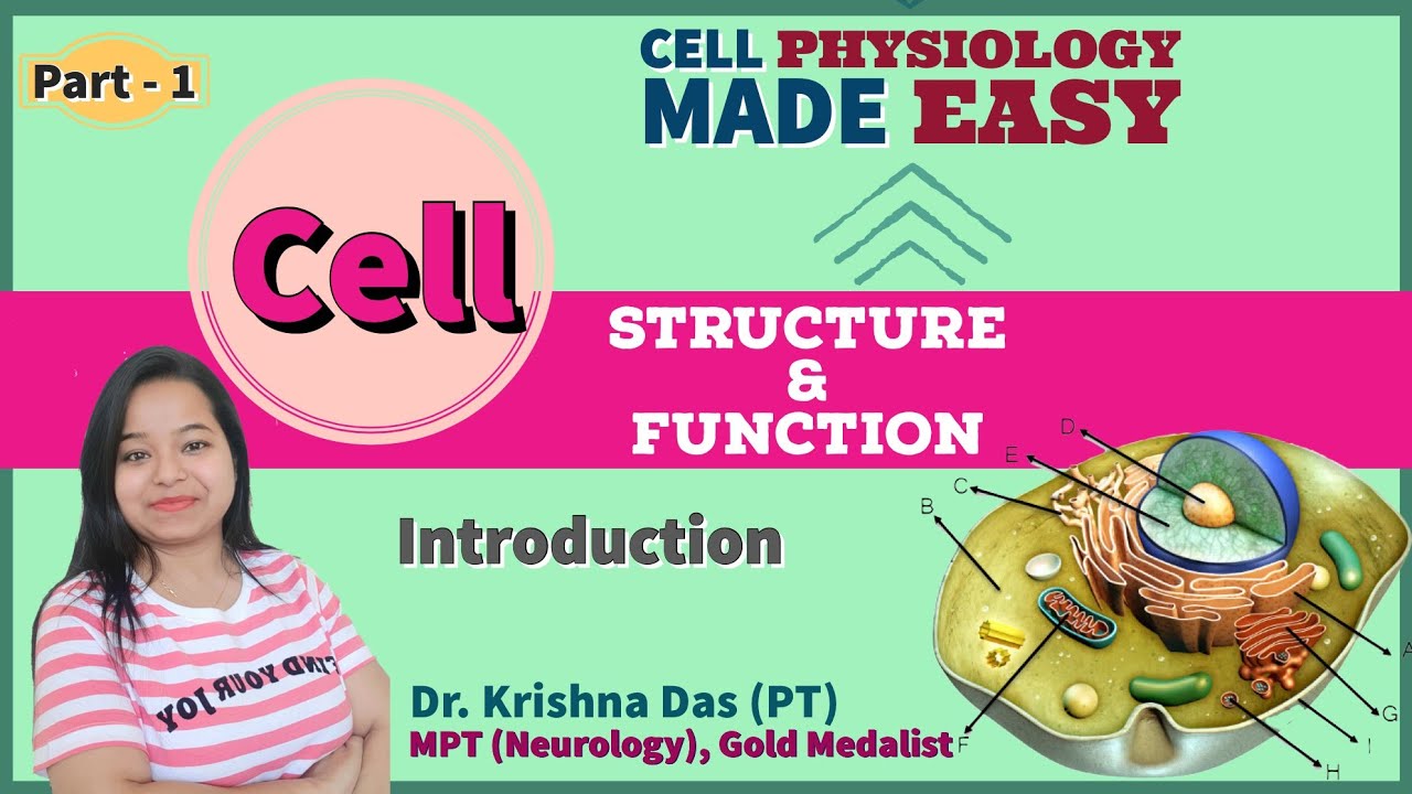 Cell - Structure & Functions | Cell Biology | Cell Physiology | Cell ...