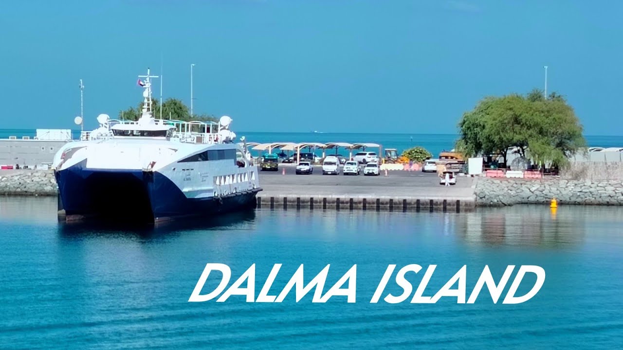 Dalma Island Work with Outing 🤓 #supervibes007#imrankhan #punjabi - YouTube
