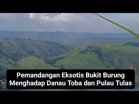 Pemandangan Eksotis Bukit Burung Menghadap Danau Toba dan Pulau Tulas ...