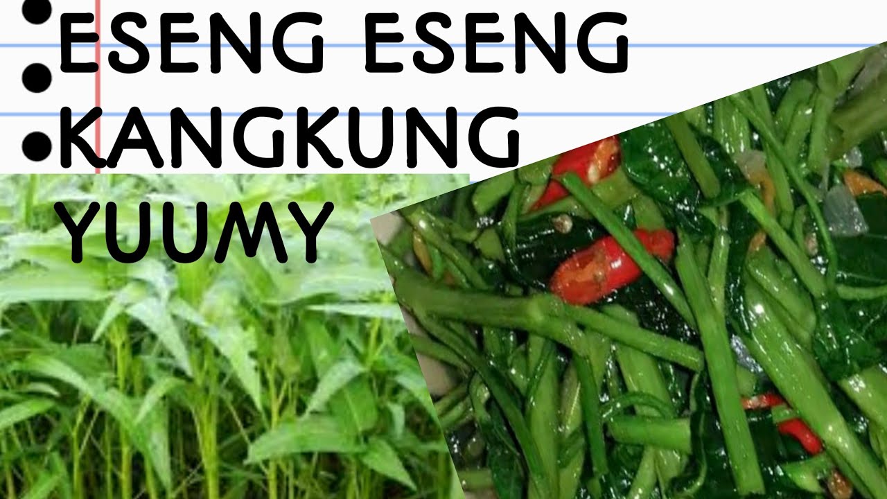 cara mudah membuat eseng Eseng kangkung ala mbak Cici dirumah saja ...
